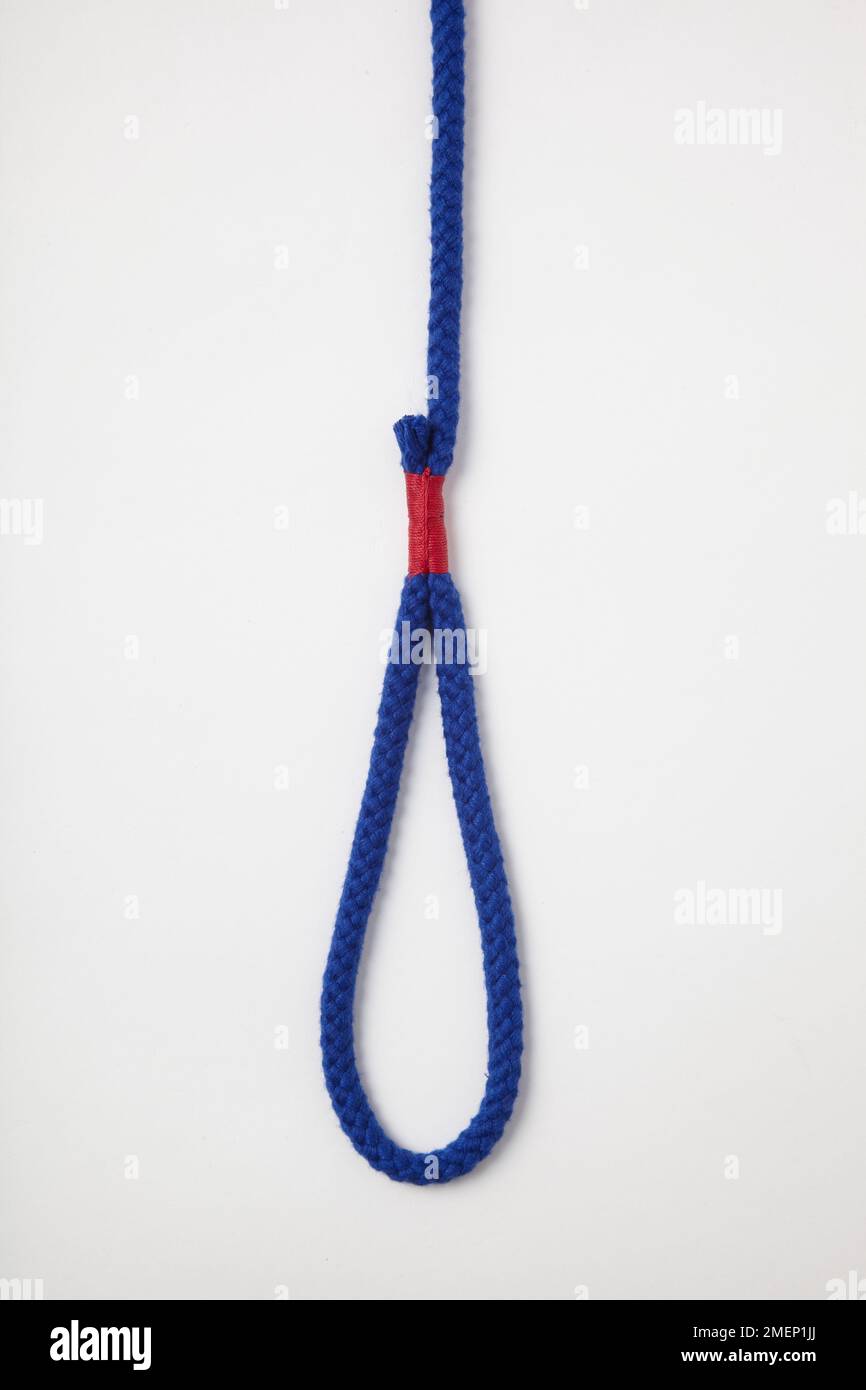 Stitch and Seize, whipping in red twine around blue rope, to make a ...