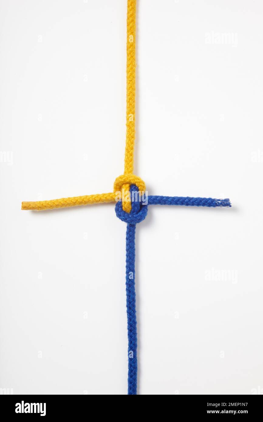 Hunter's Bend (Rigger's Bend), knot tied with two ropes in blue and ...