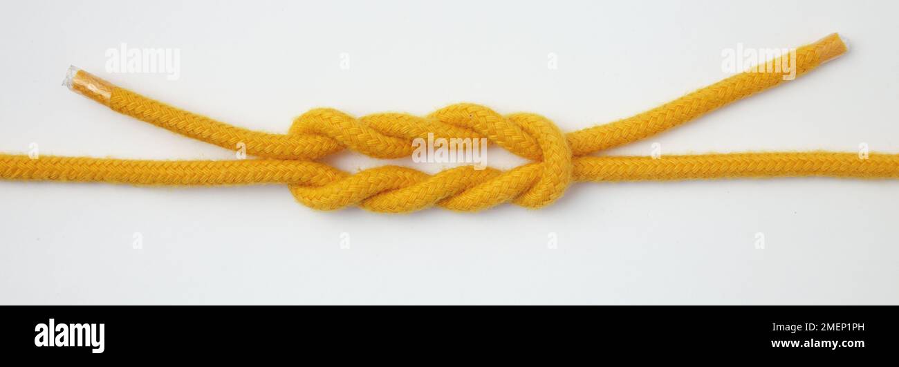 Surgeon's Knot with Second Tuck, binding knot tied in yellow rope Stock ...