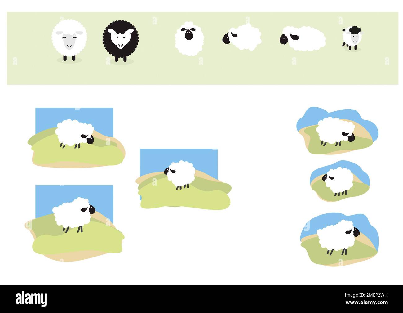 Illustration showing how Dolly the sheep was cloned Stock Photo - Alamy