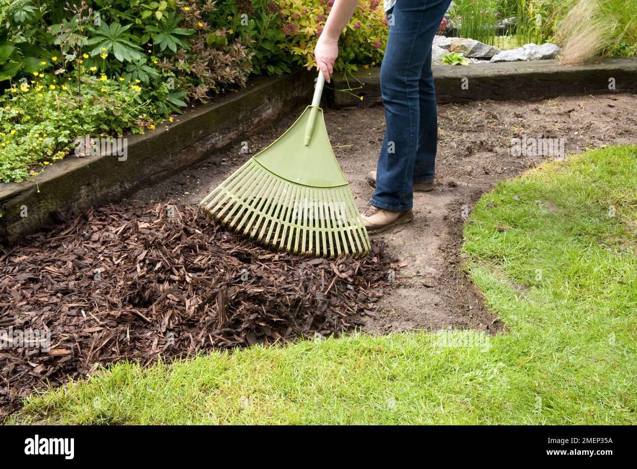Shaping a lawn. Laying a bark mulch around the lawn Stock Photo - Alamy