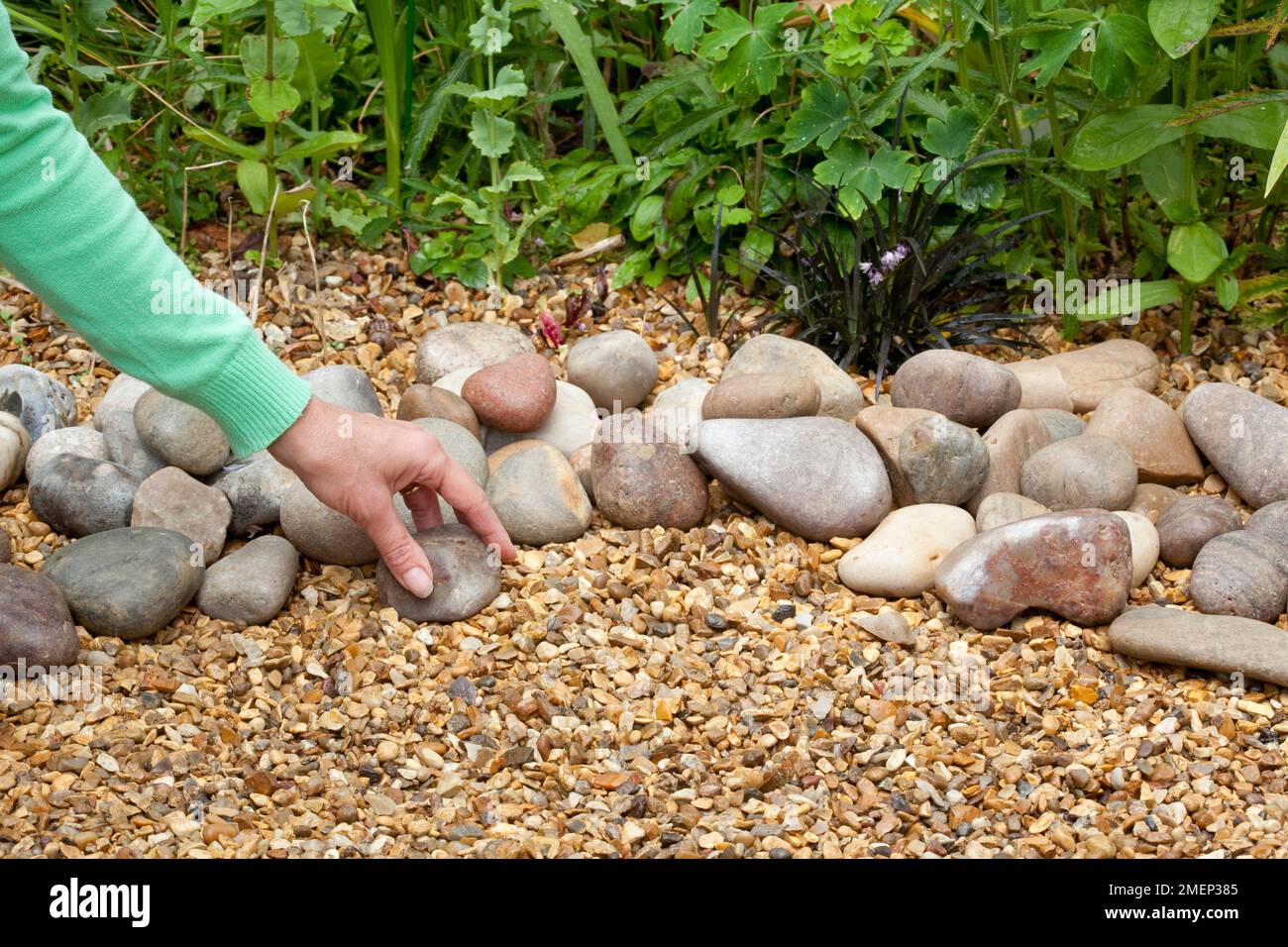 Gravel garden pebbles hi-res stock photography and images - Alamy