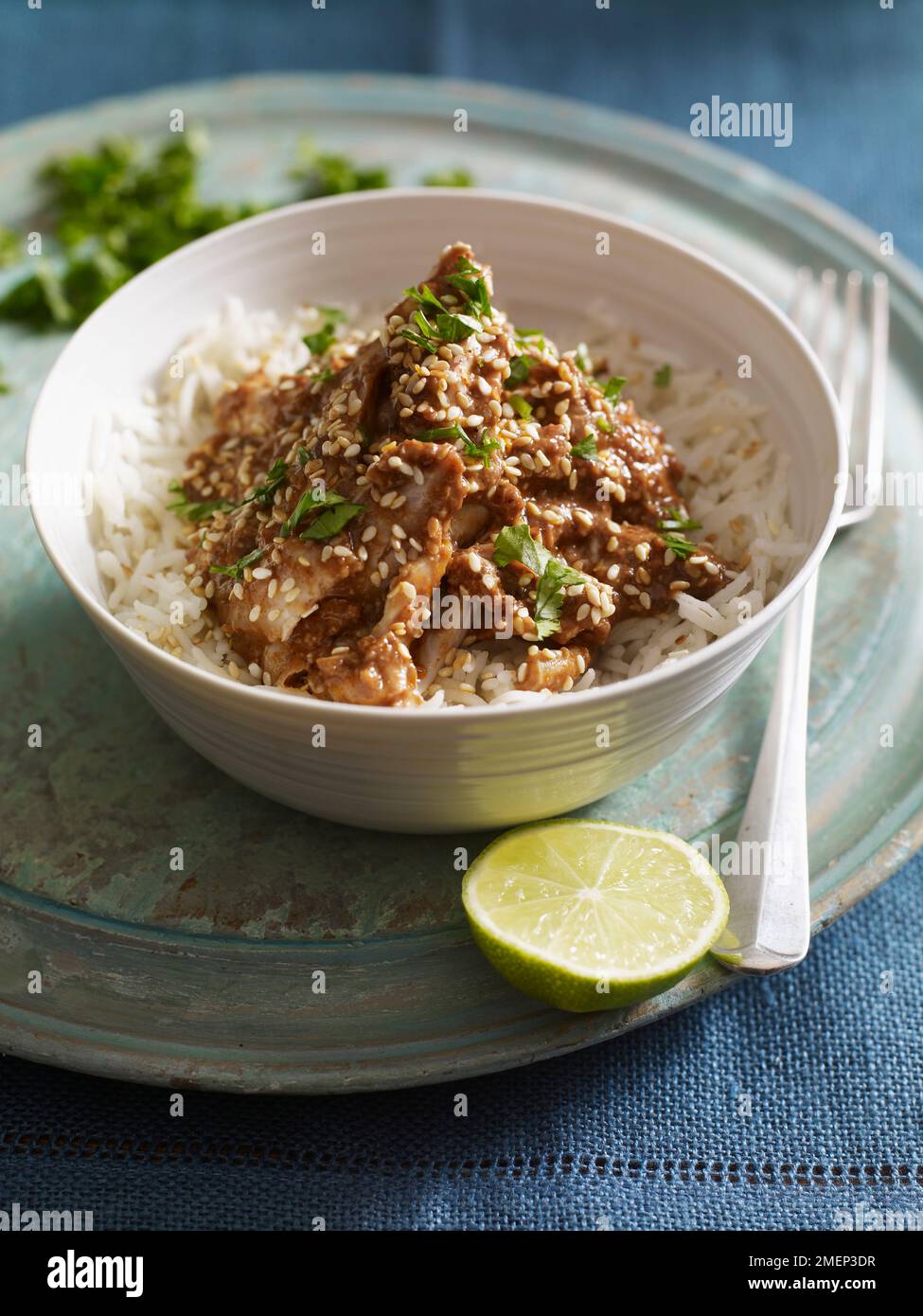 Mole turkey hi-res stock photography and images - Alamy