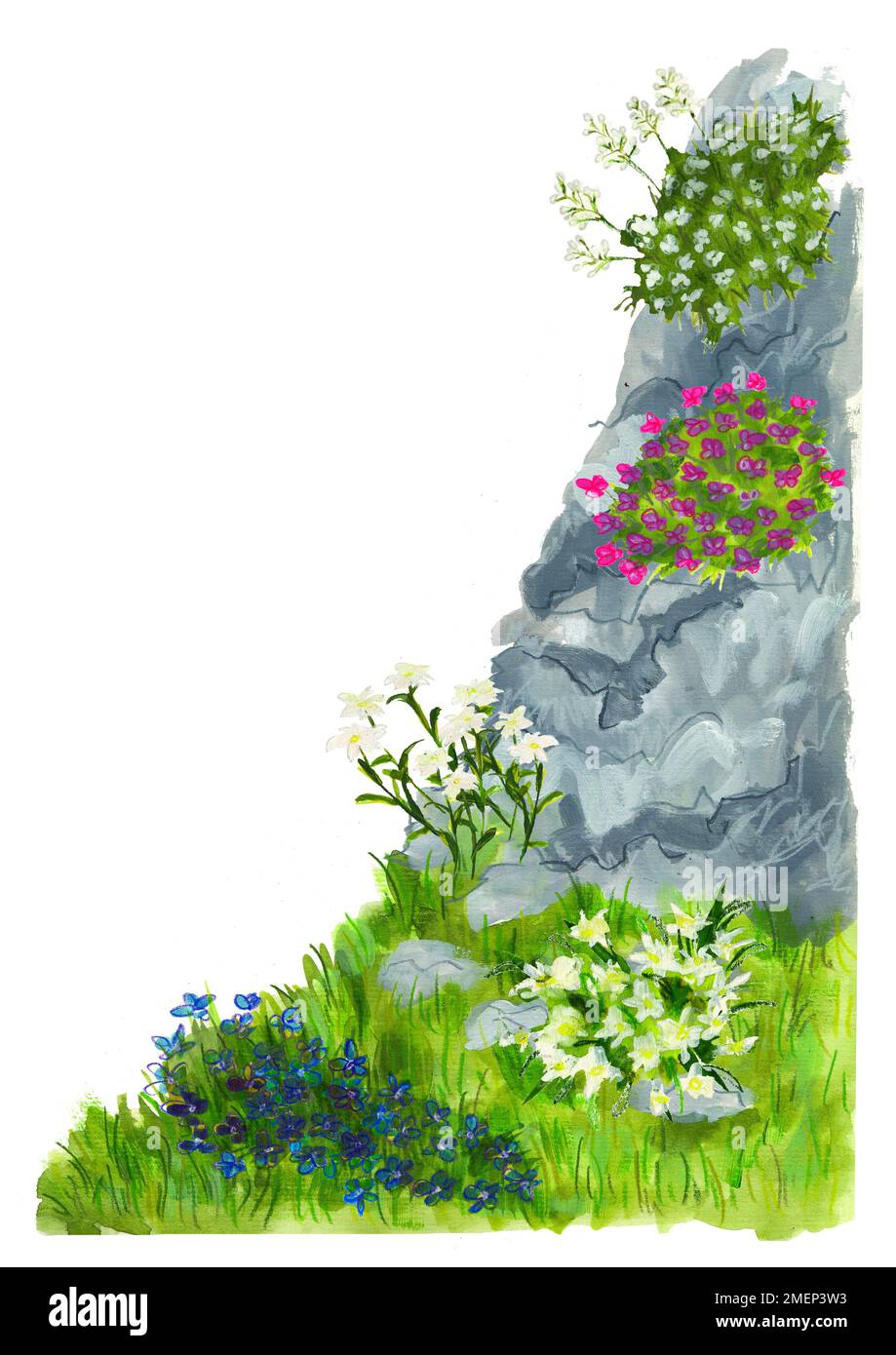 Botanical flowers illustration Cut Out Stock Images & Pictures - Alamy