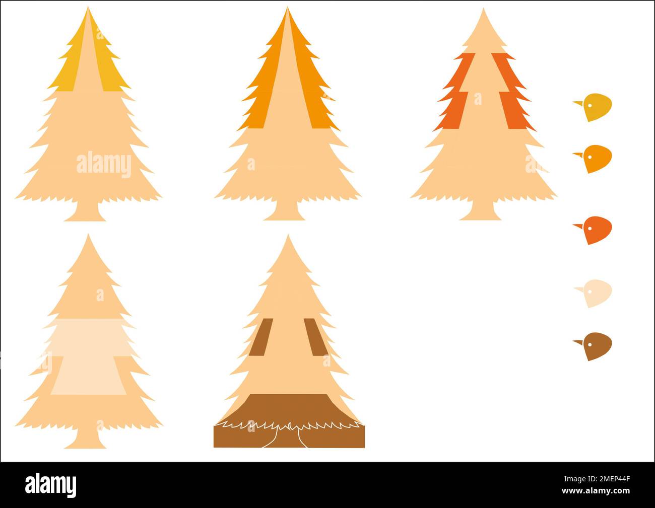 Artwork showing different types of warbles coexisting in the same tree ...