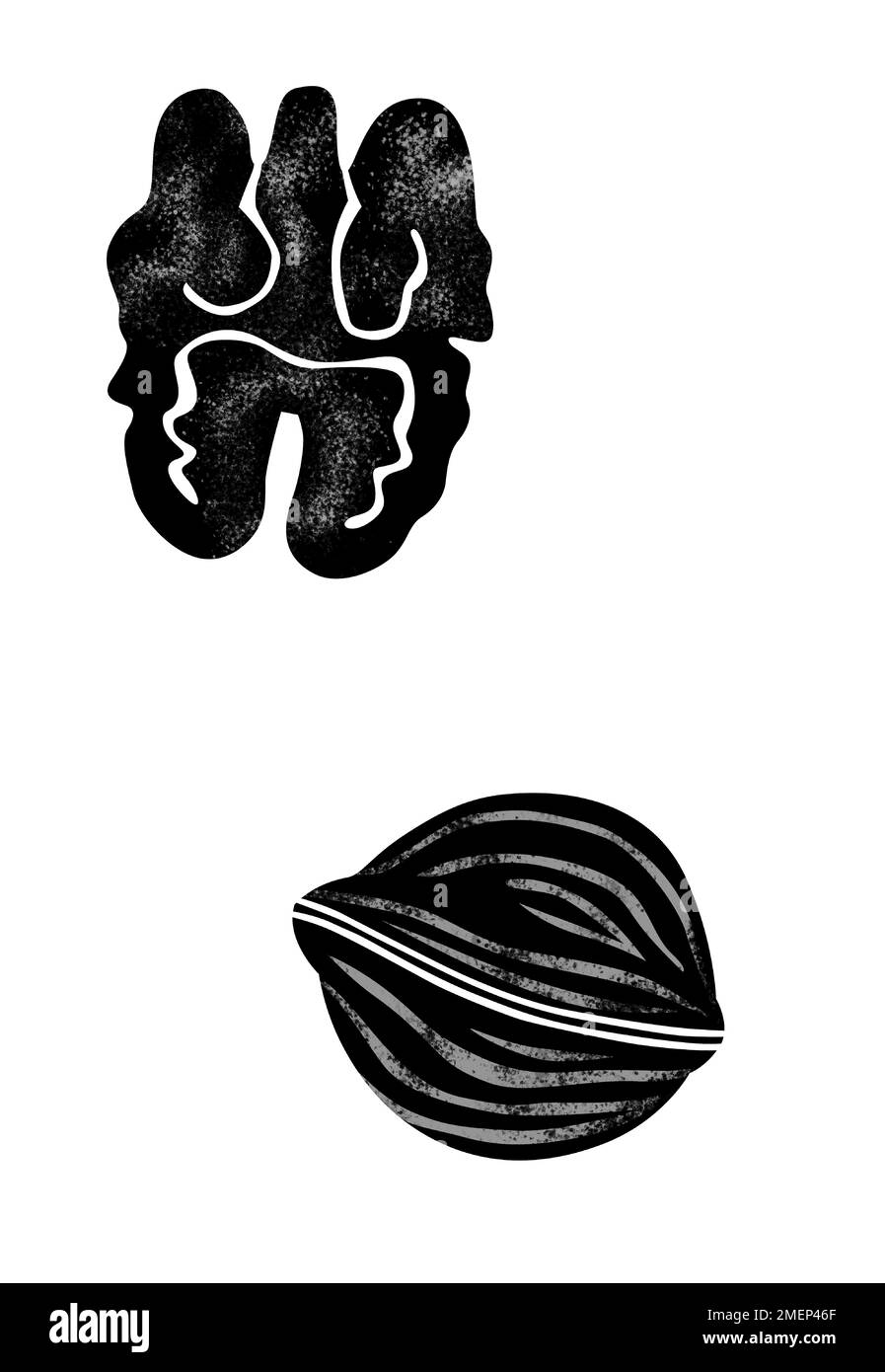 Black walnut background Cut Out Stock Images & Pictures - Alamy