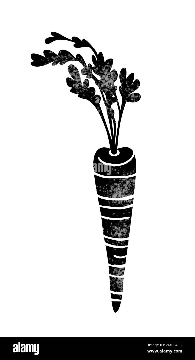 Digital carrot hi-res stock photography and images - Alamy