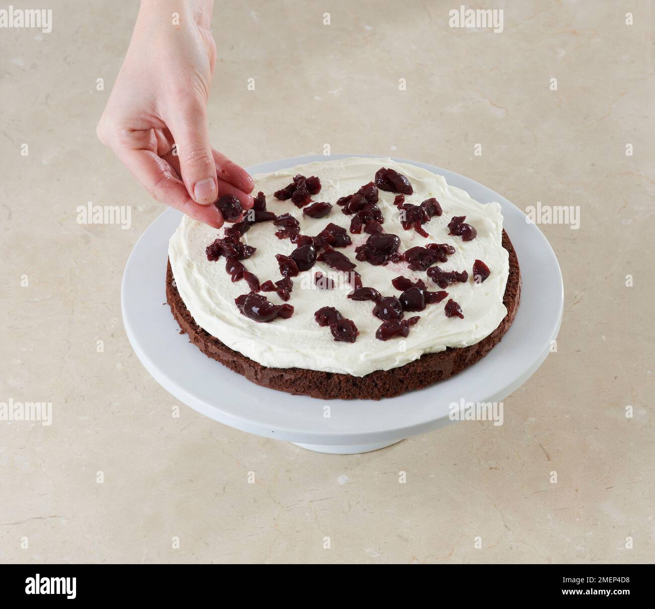 Black Forest Gateau, spreading whipped cream and chopped cherries on ...