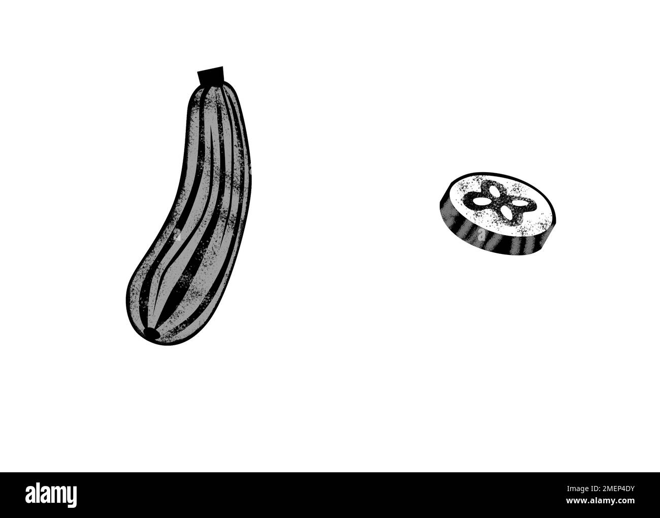 Courgette slice Black and White Stock Photos & Images - Alamy