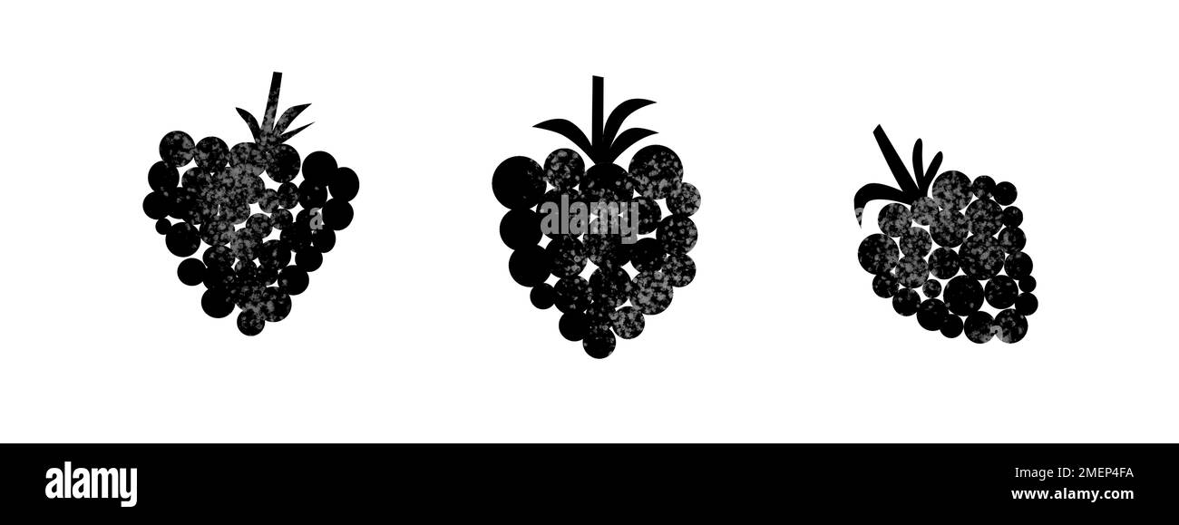 Berries and fruit illustration hi-res stock photography and images - Alamy