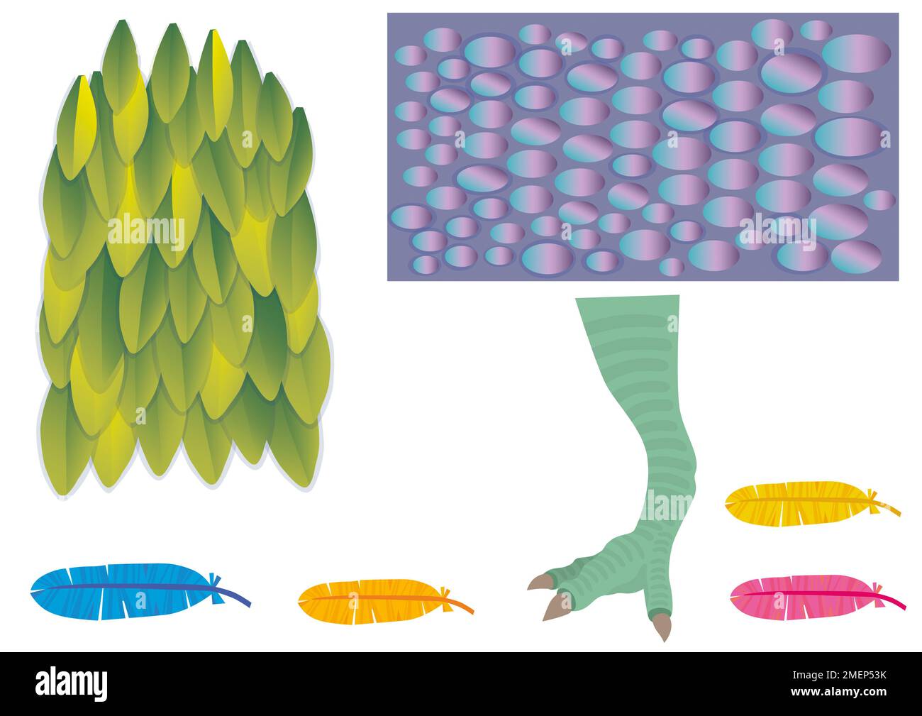 Image scales Cut Out Stock Images & Pictures - Alamy