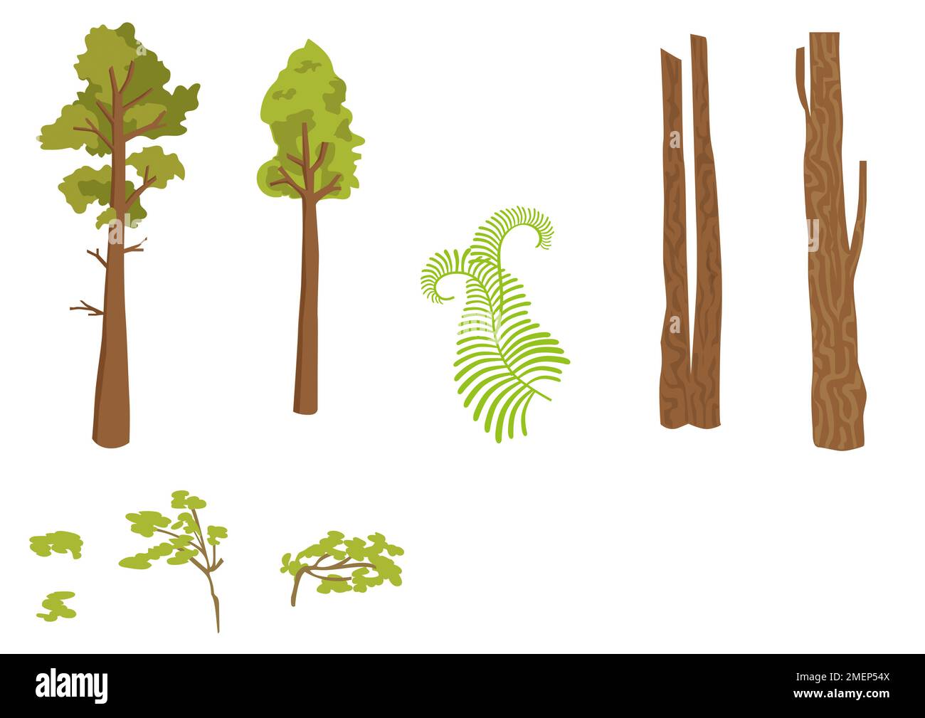 Redwood tree Cut Out Stock Images & Pictures - Alamy