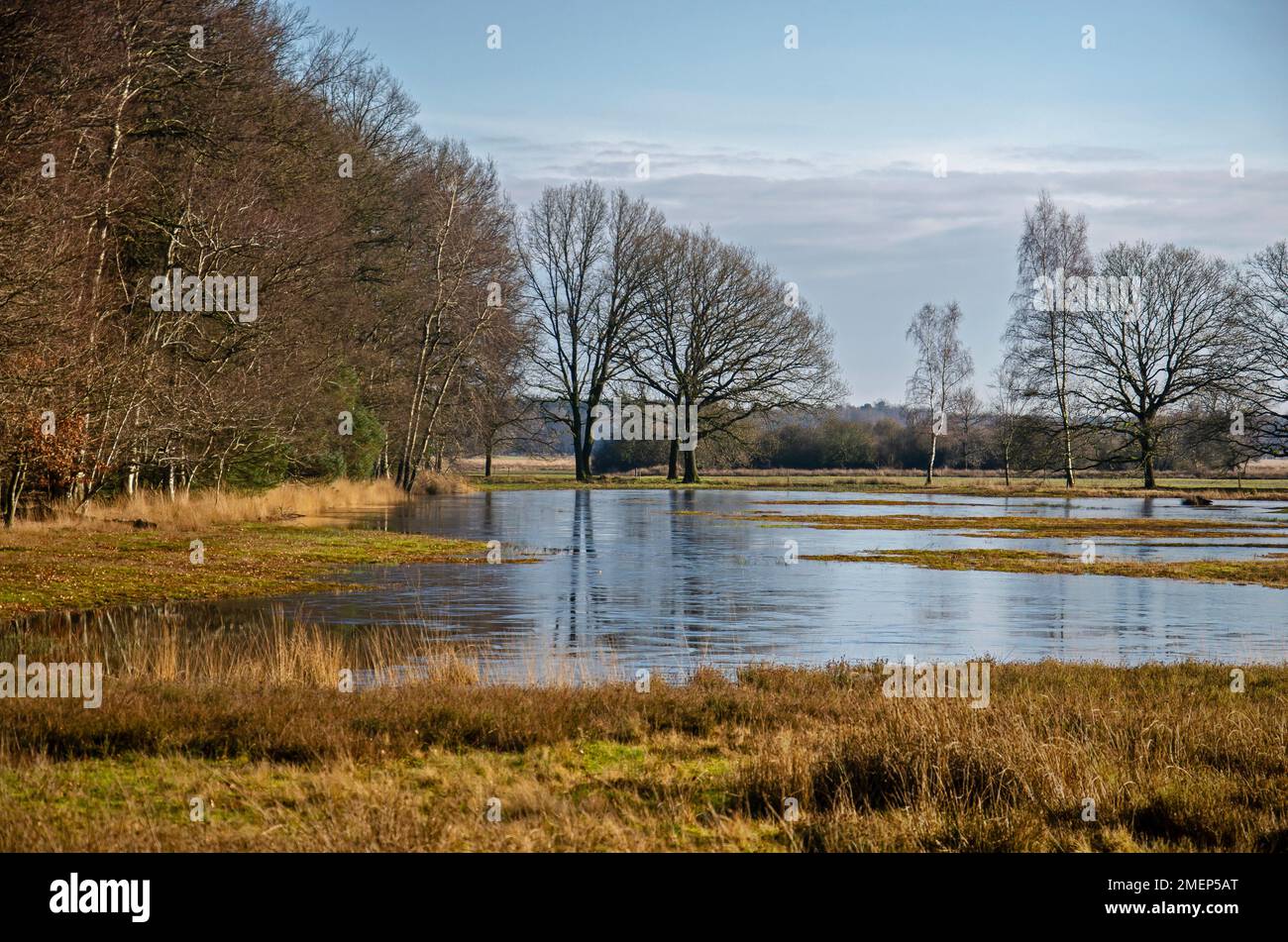 Shallow lake, reflective because of a thin layer of ice, during the ...