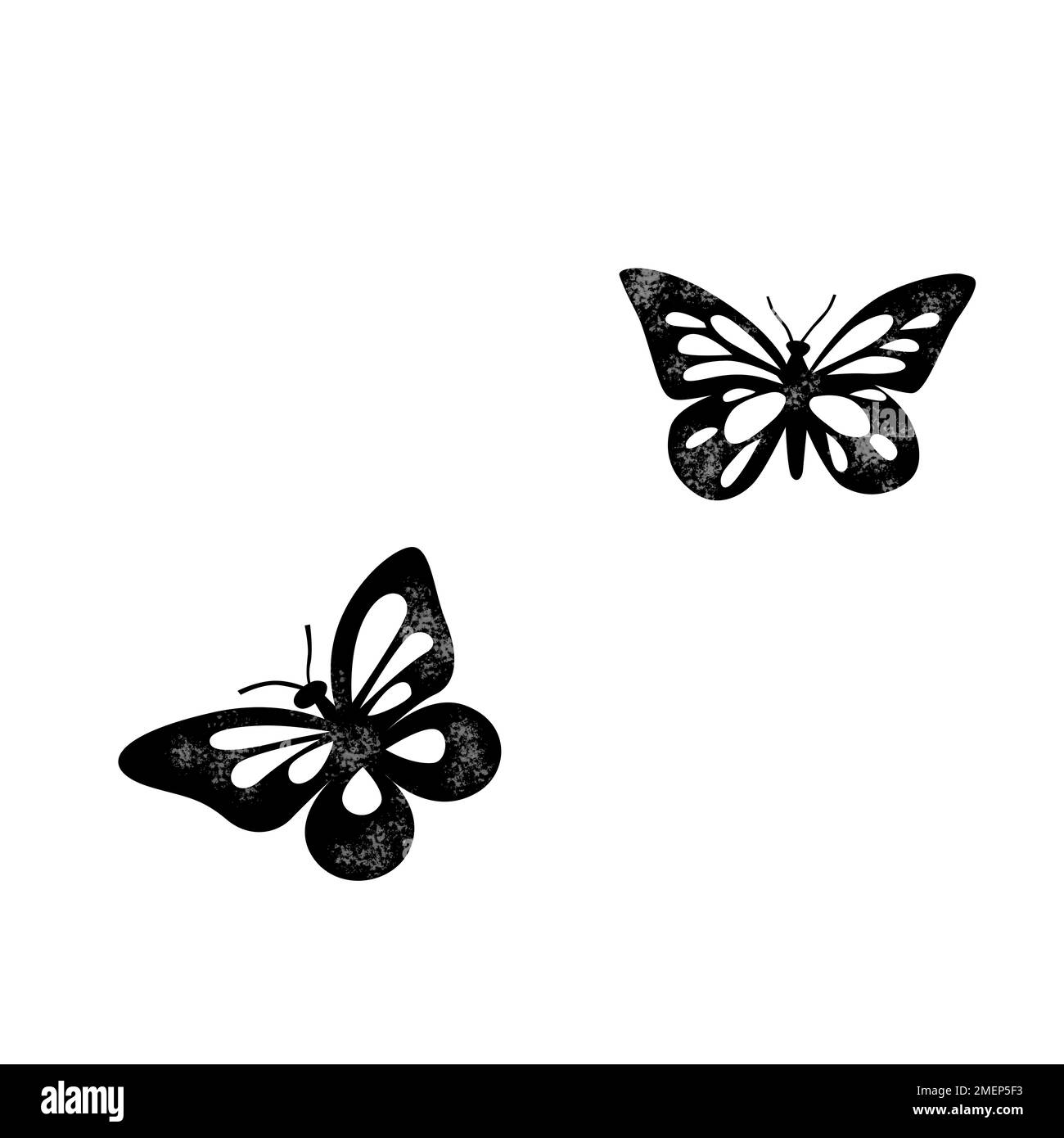 Flight digital Black and White Stock Photos & Images - Alamy