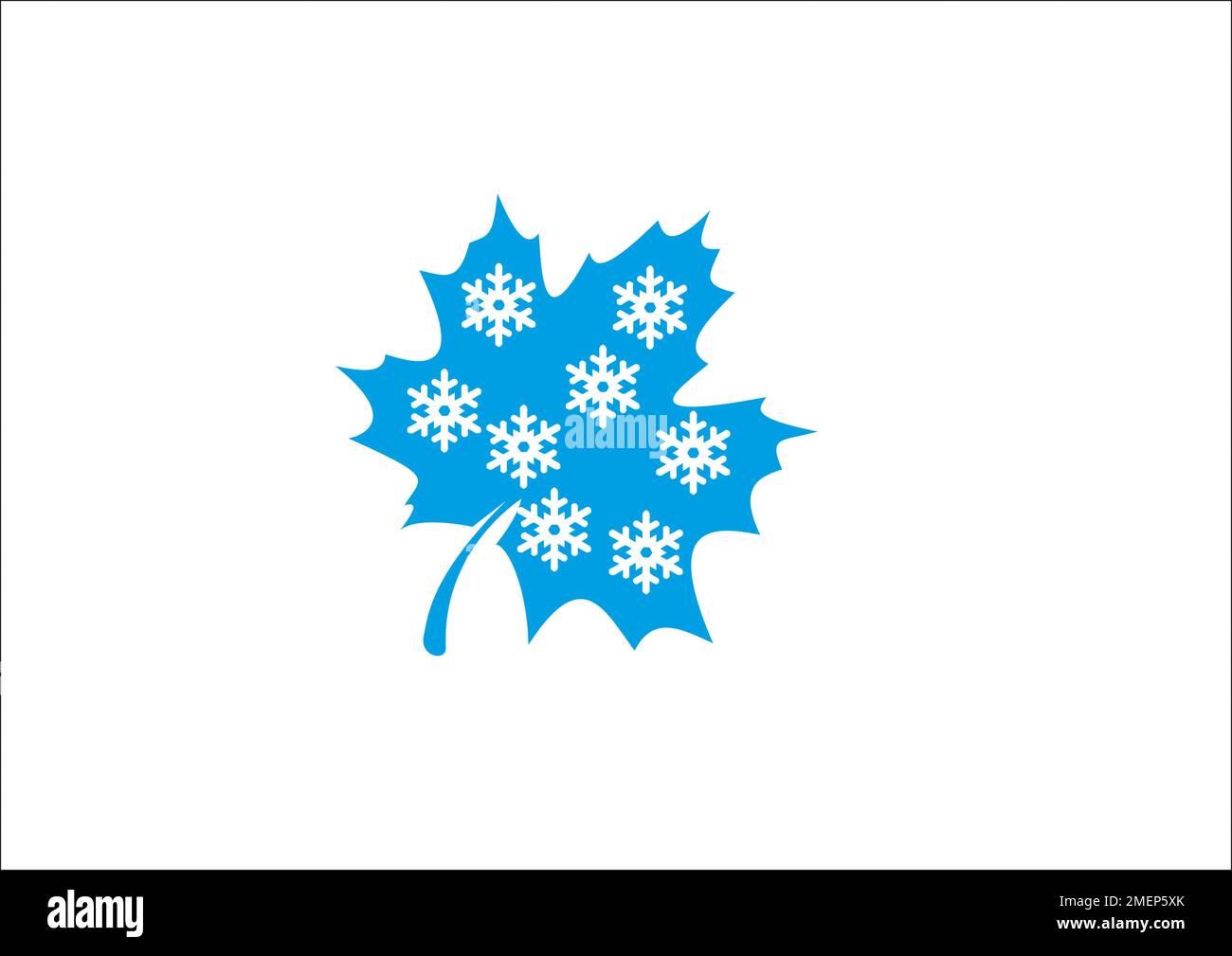 Types of snowflakes hi-res stock photography and images - Alamy