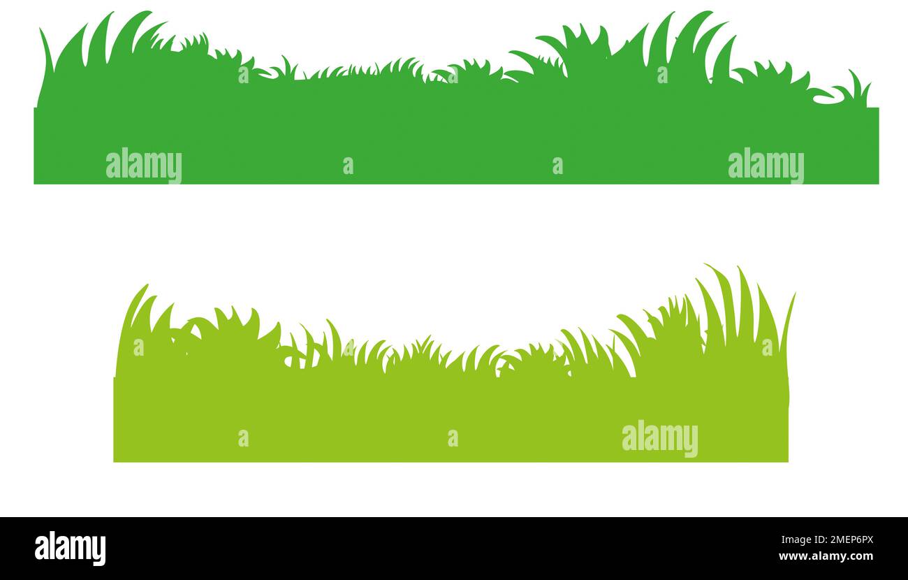 Grass Vector