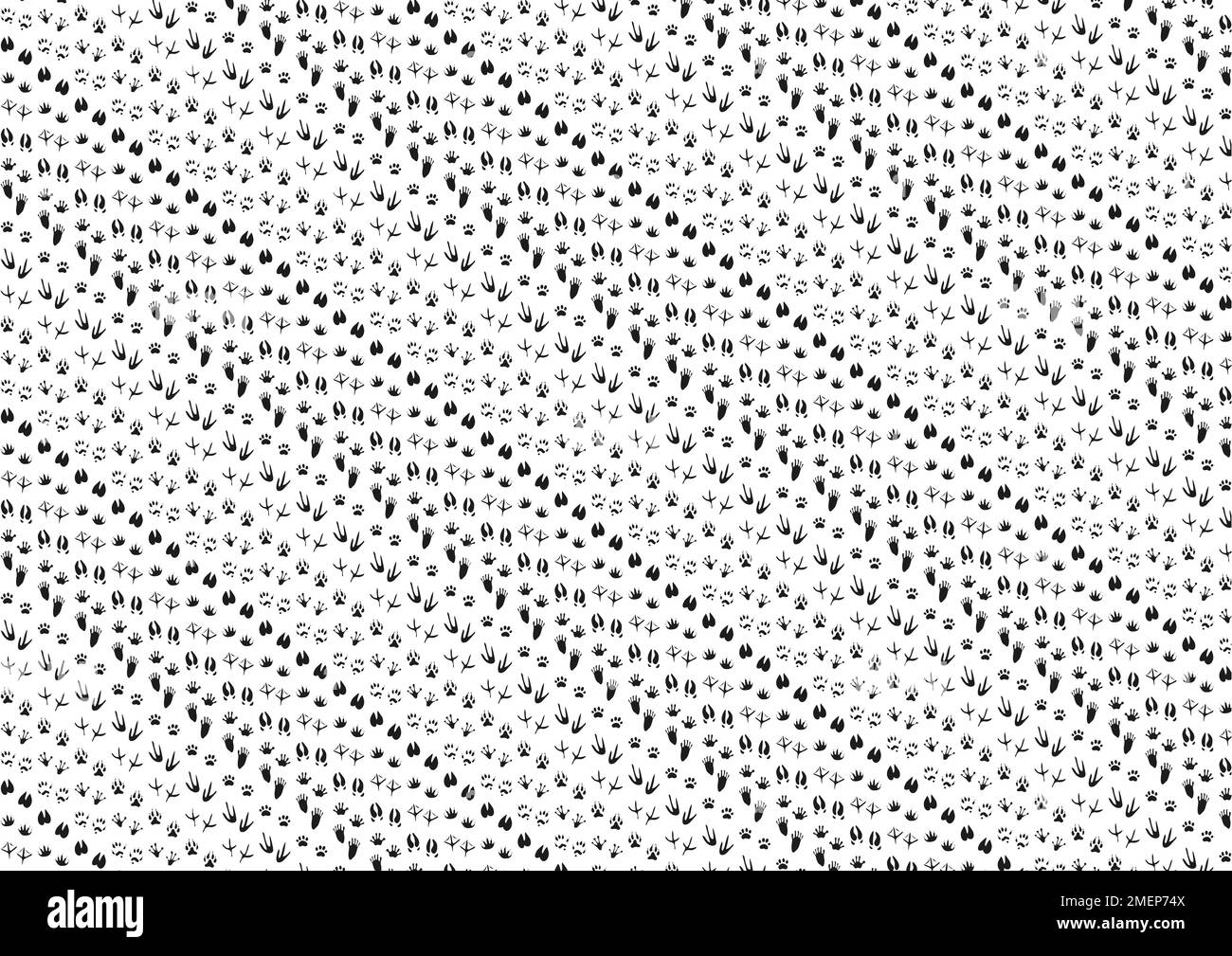 Illustration of animal footprints Stock Photo - Alamy