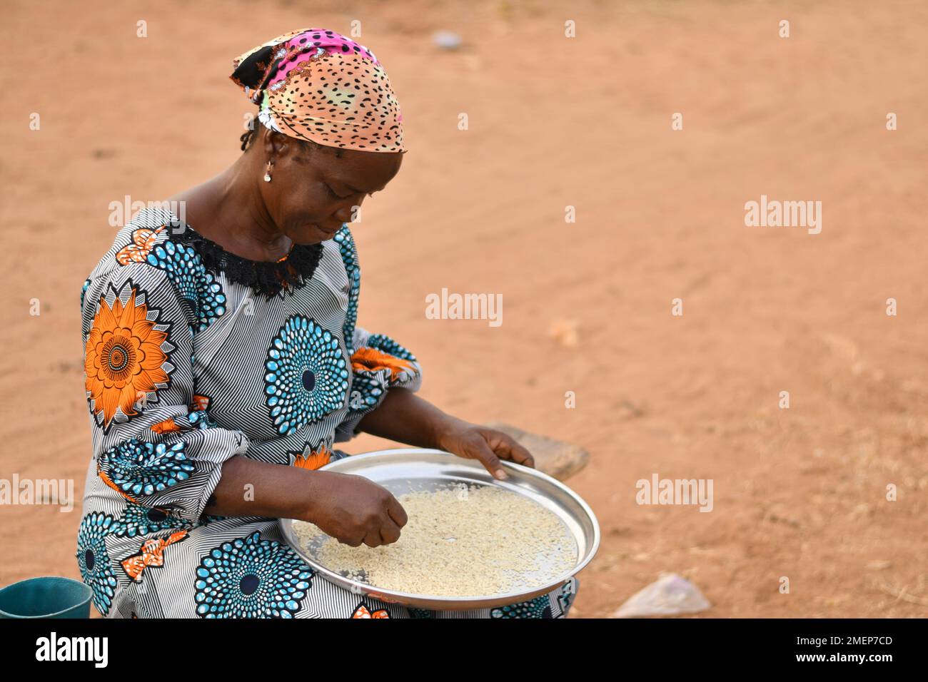 elderly african lady picking rice Stock Photo - Alamy