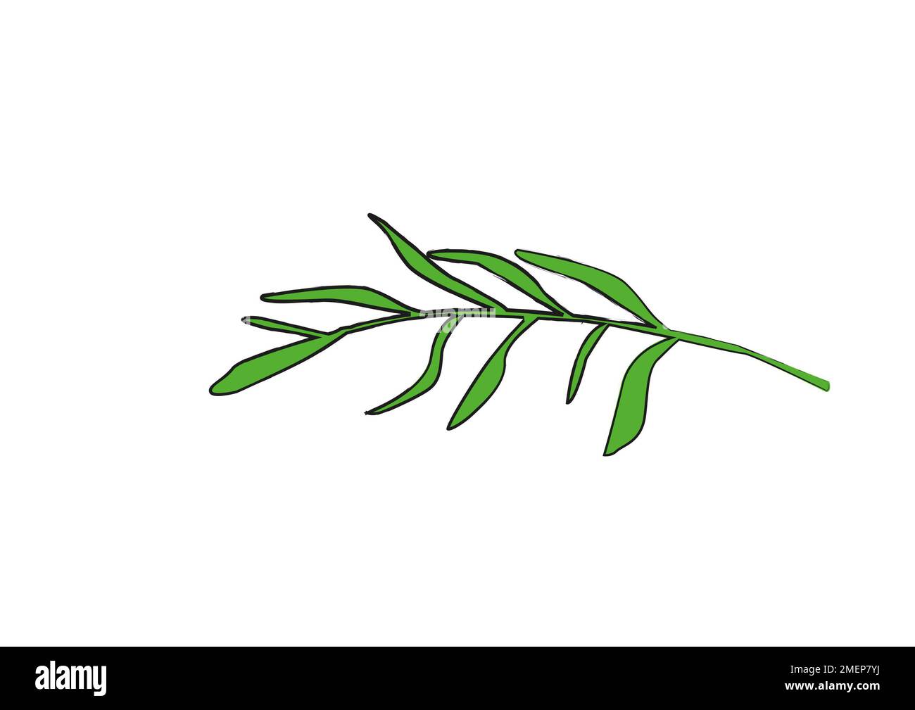 Digital branch hi-res stock photography and images - Alamy