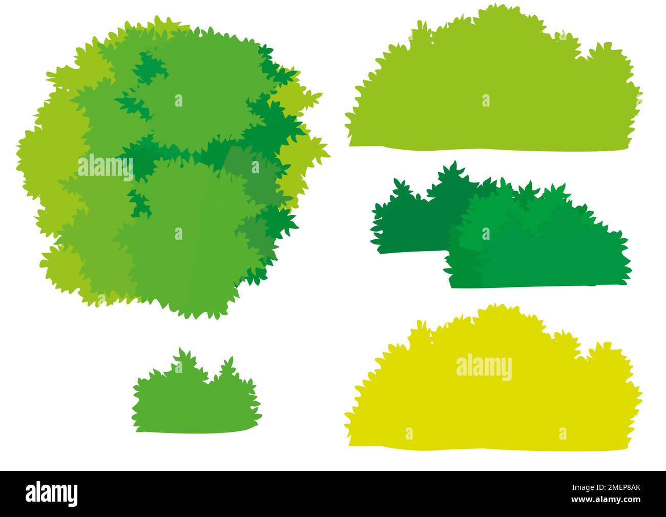 Bush greenery Cut Out Stock Images & Pictures - Alamy