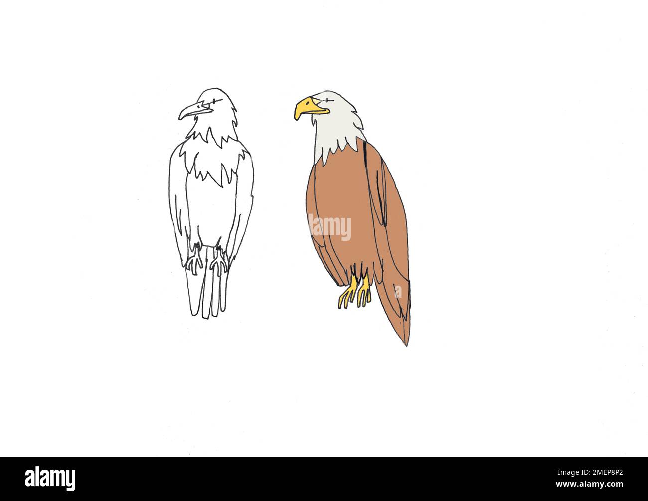 Birds eagles Cut Out Stock Images & Pictures - Alamy