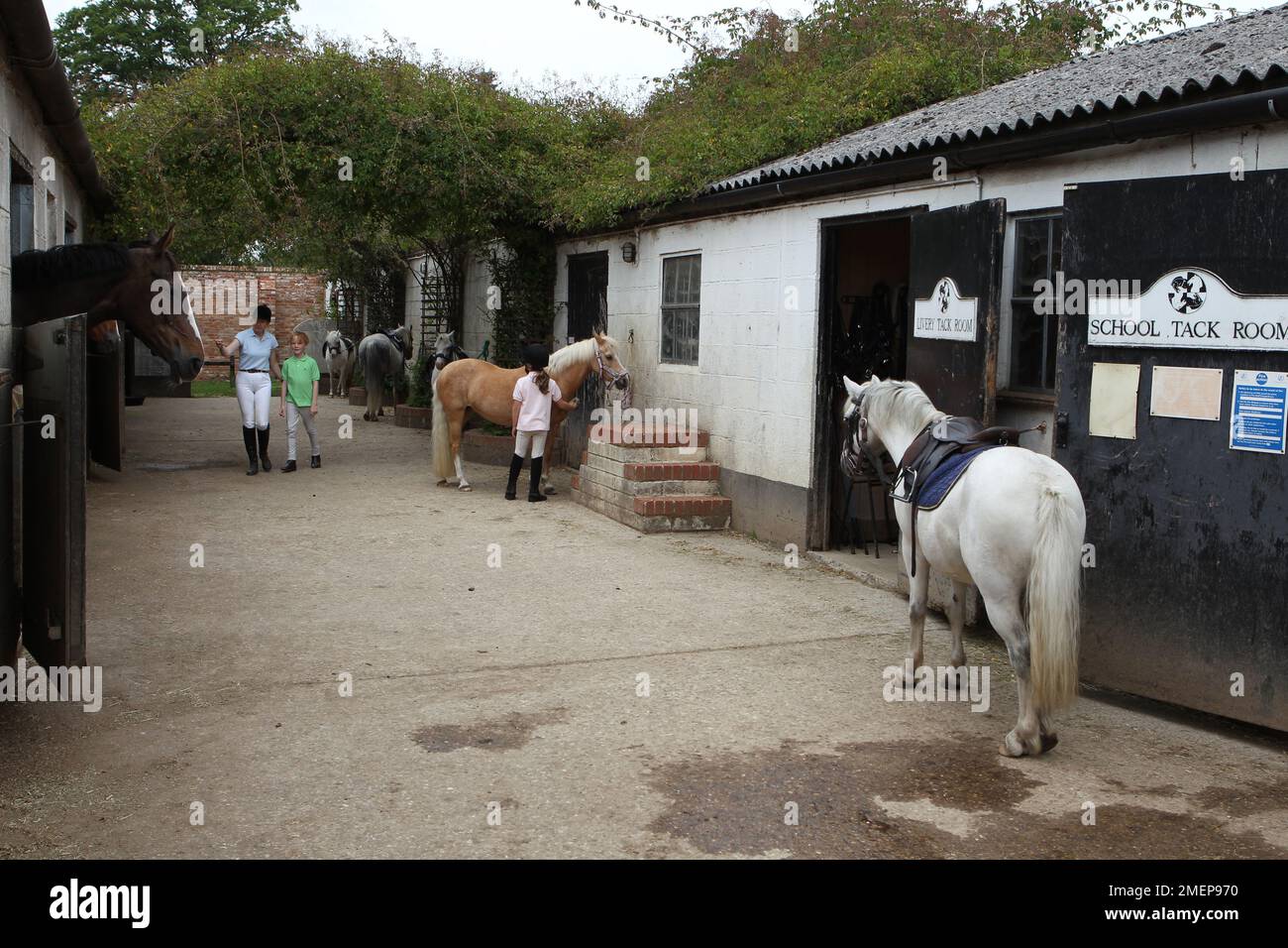 Riding instructress with girl and boy in stable yard with ponies Stock ...