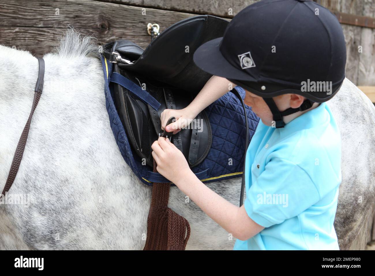 Girth fastening hi-res stock photography and images - Alamy