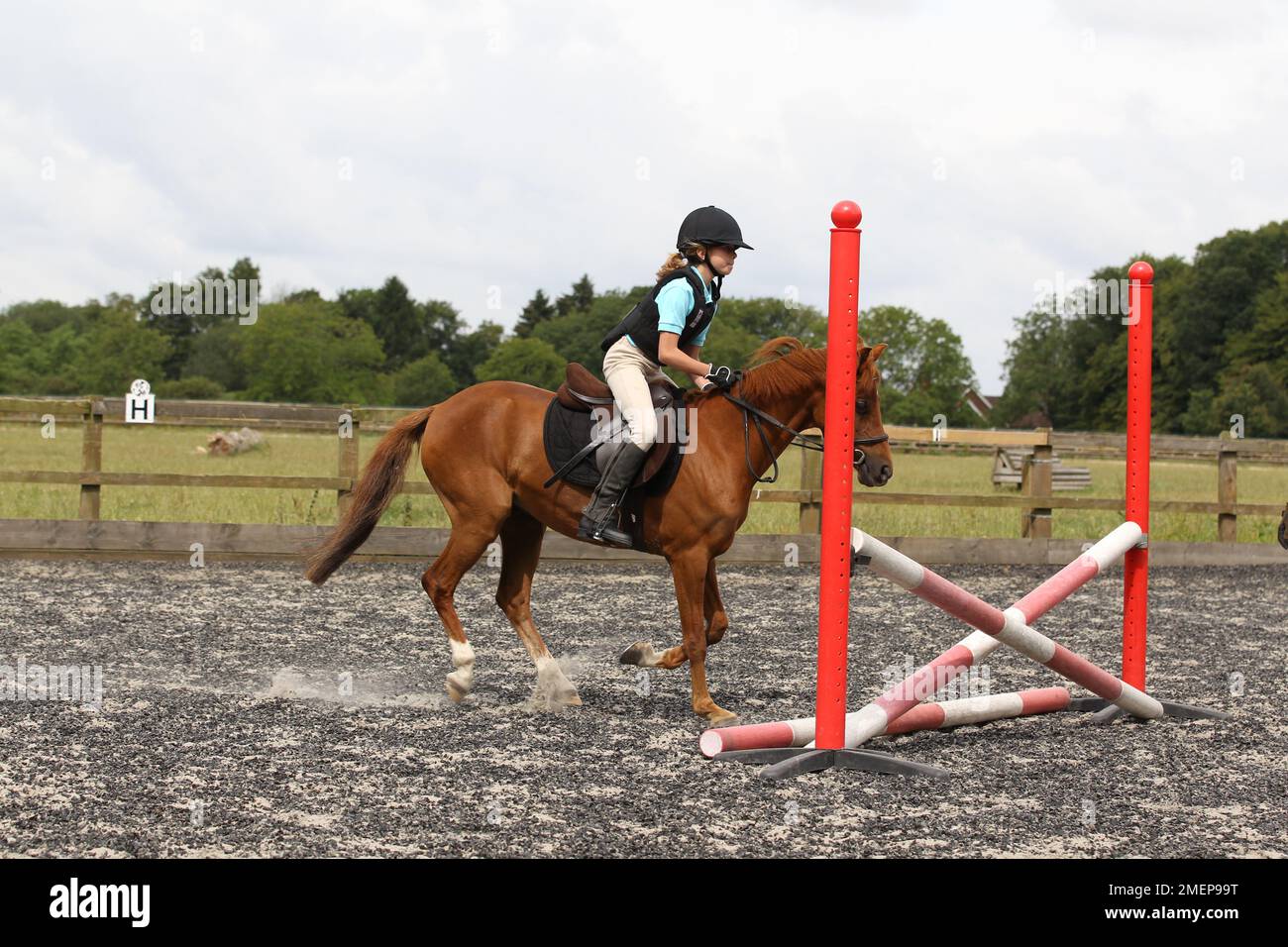 Girl preparing to ride pony over jump in paddock during riding lesson ...