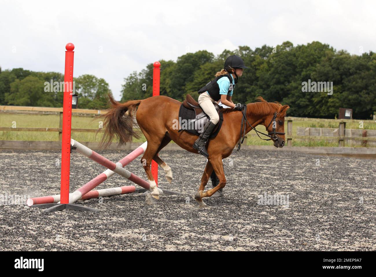 Girl riding pony over jump in paddock during riding lesson, side view ...