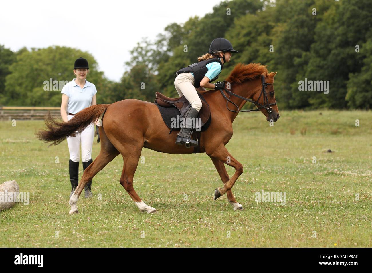 Girl riding chestnut pony away from log after jumping over it in ...