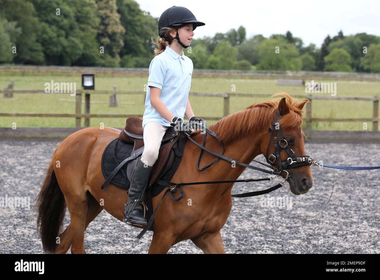 Girl riding chestnut pony in paddock as unseen instructress holds lunge ...