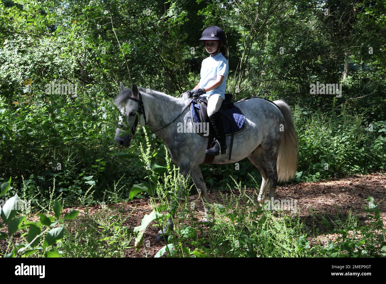 Girl riding grey pony on dirt track through trees during riding lesson ...