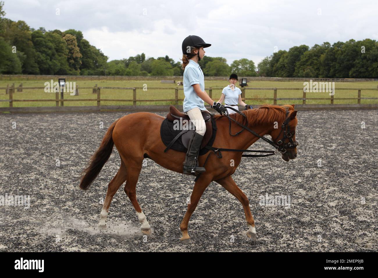 Girl riding chestnut pony in paddock as instructress holds lunge rein ...