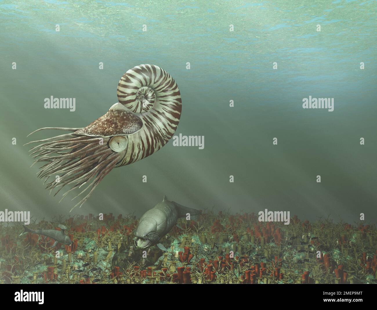 Devonian under water scene Stock Photo - Alamy