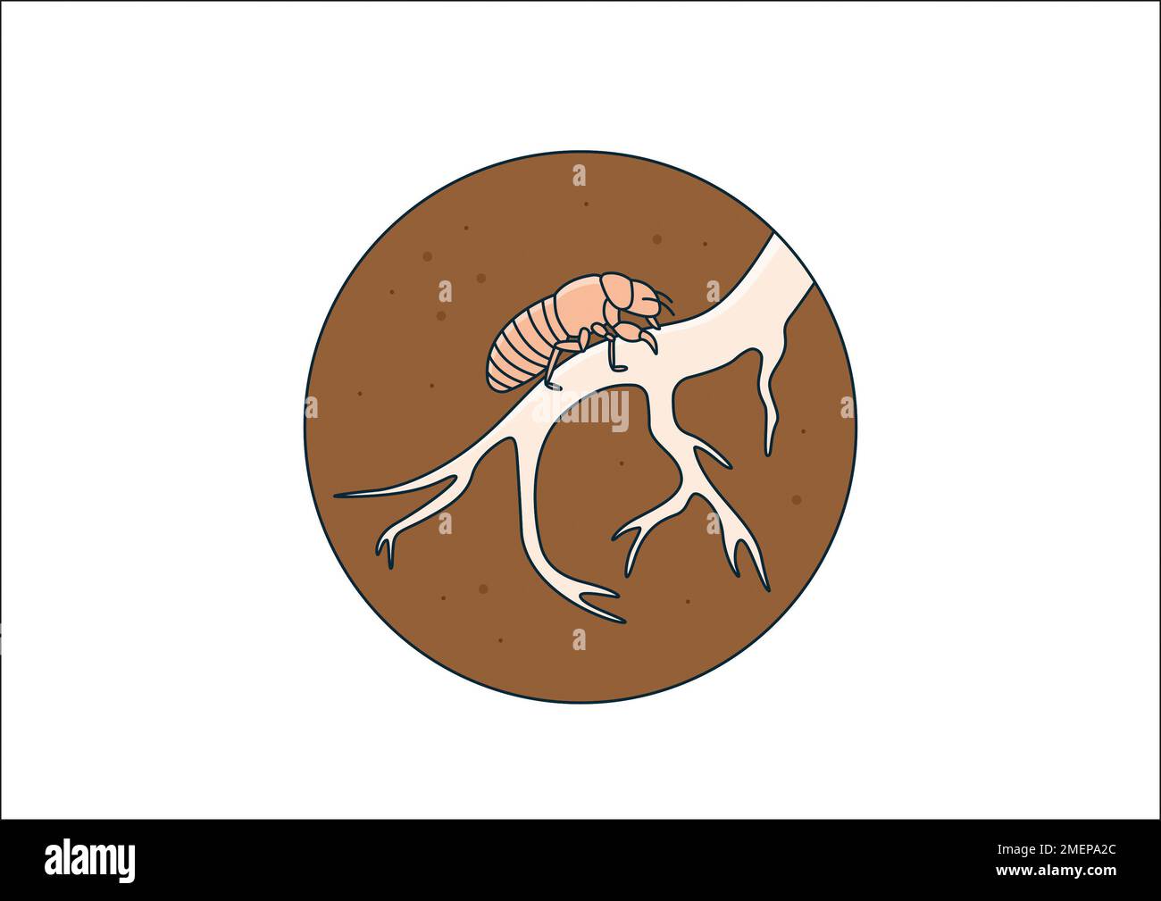 Illustration of a nymph Stock Photo - Alamy