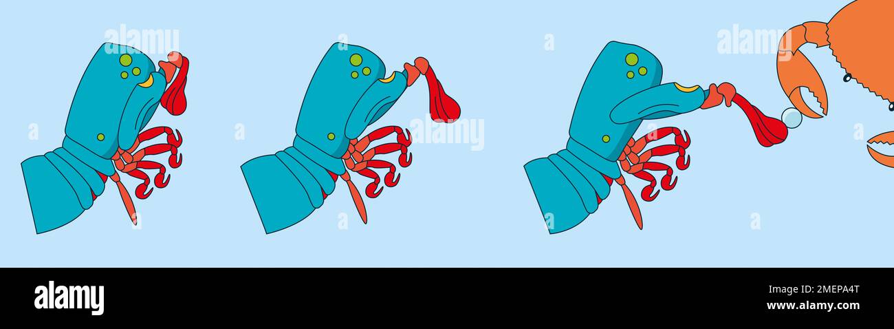 Mantis shrimp punching hi-res stock photography and images - Alamy