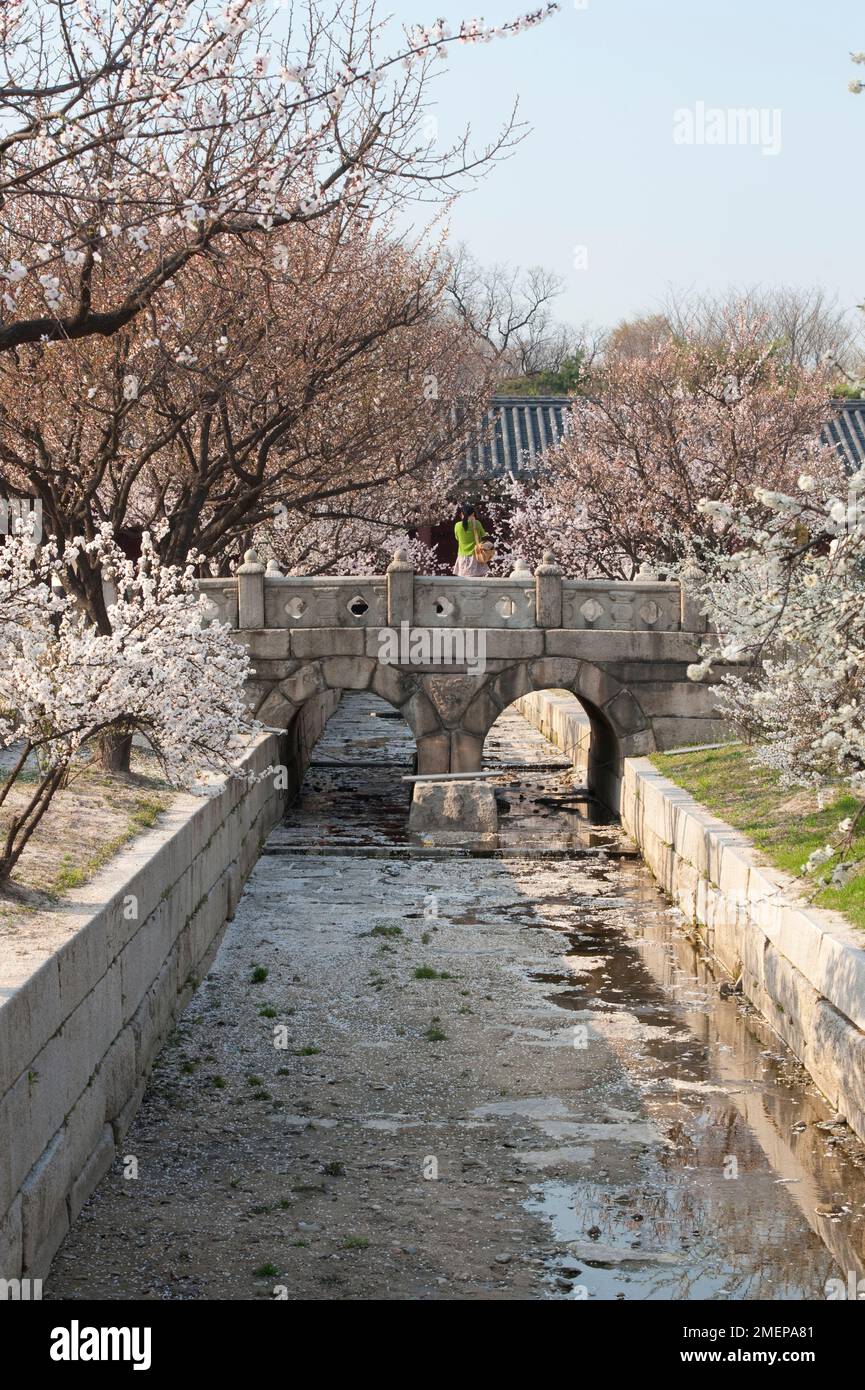 South Korea, Seoul, Changgyeong Palace, moat with stone bridge and ...