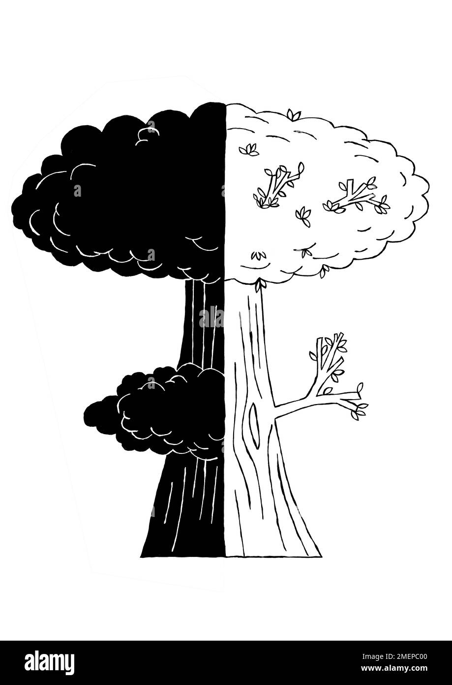 Limited Test Ban Treaty and the control of nuclear detonations Stock ...