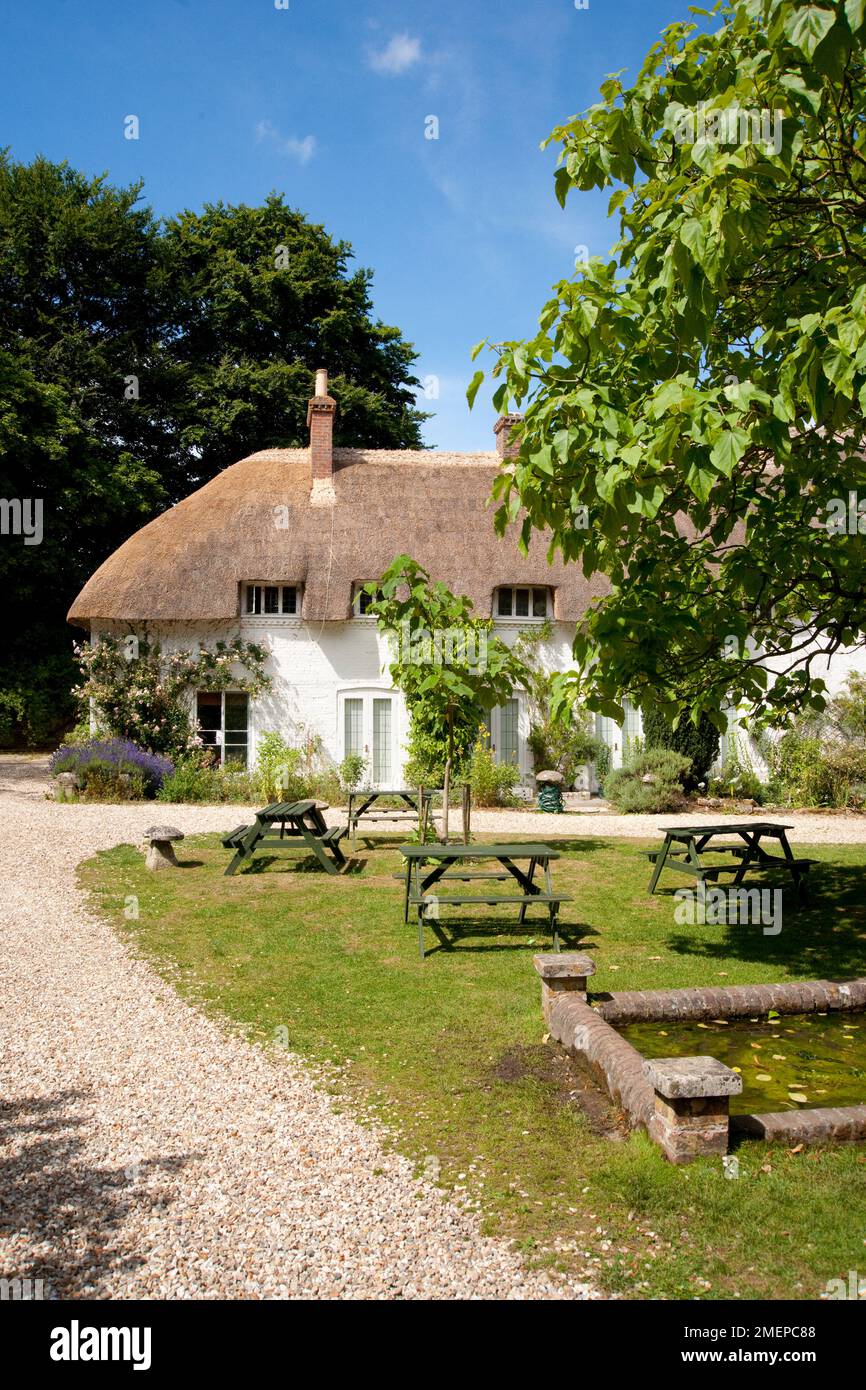 Thatched cottage with benches in grounds Stock Photo - Alamy