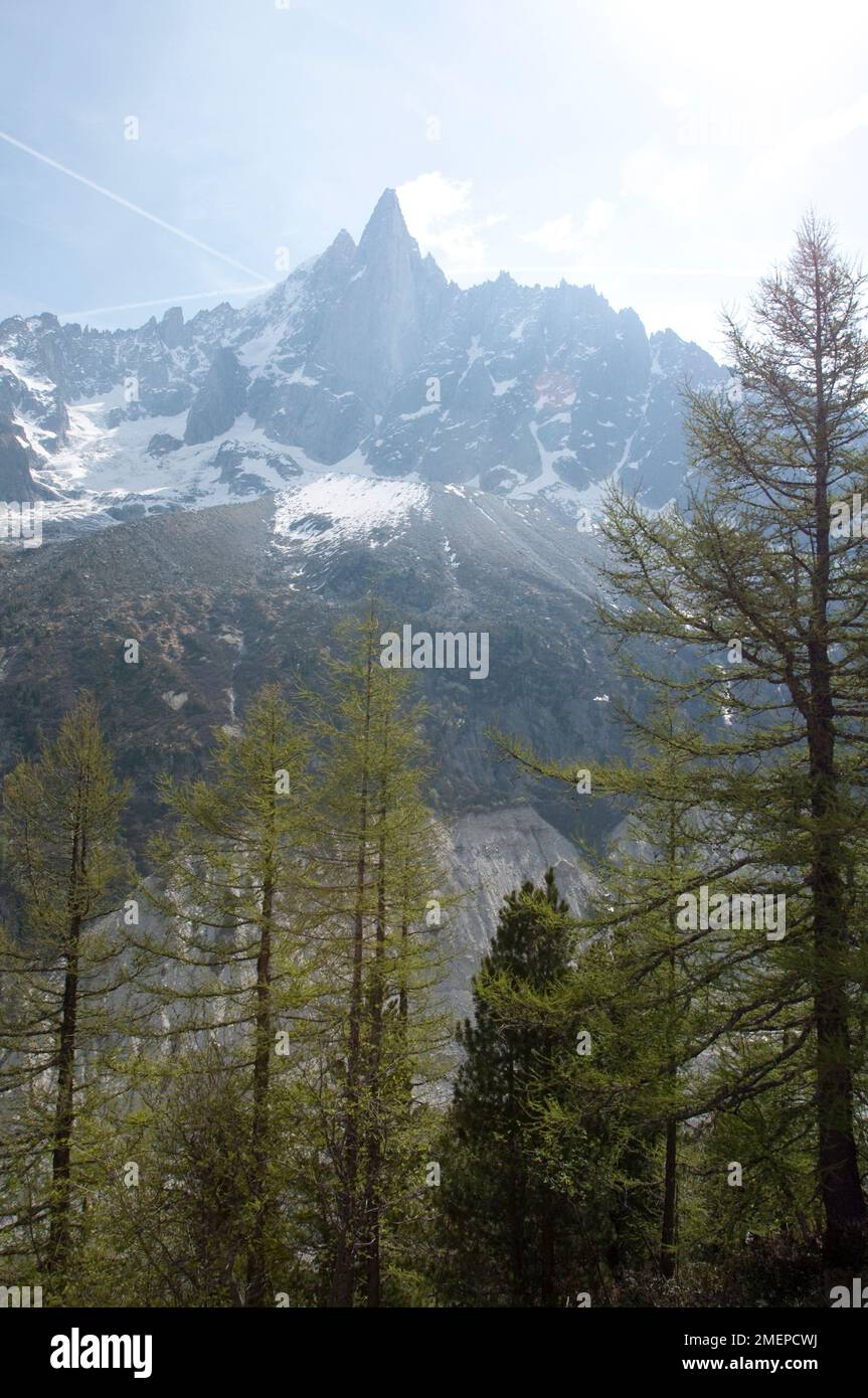 Haute température hi-res stock photography and images - Alamy