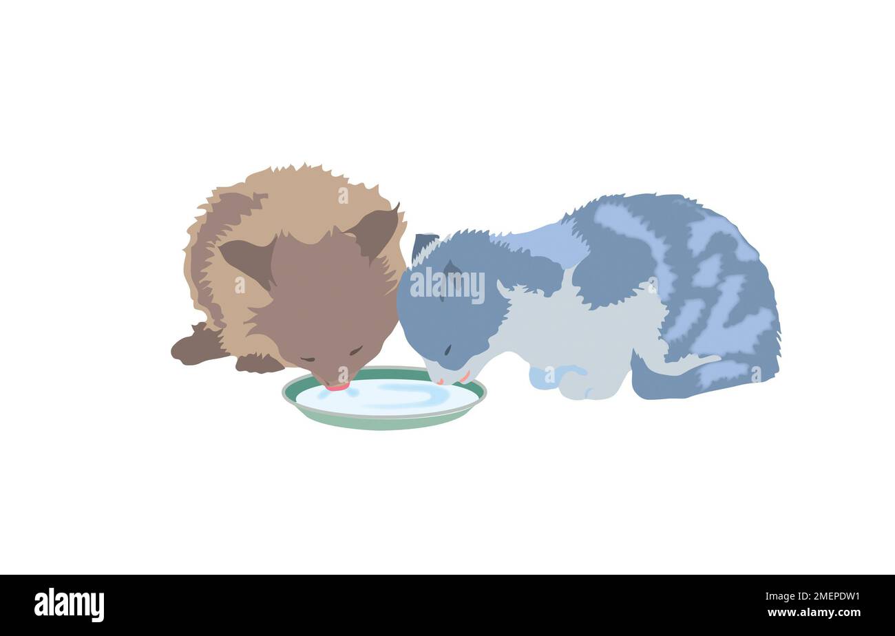 Lap symbol hi-res stock photography and images - Alamy