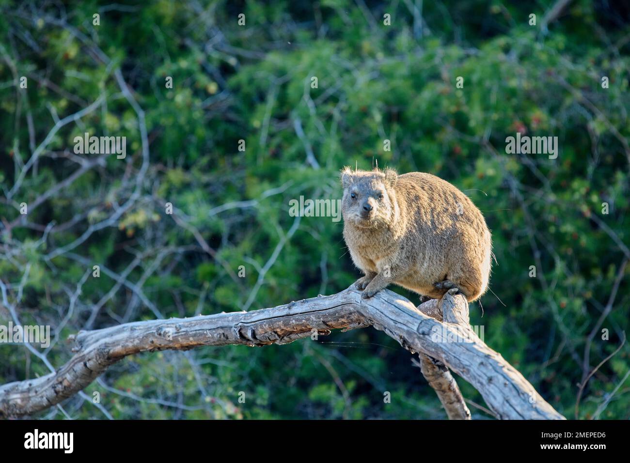 Singular rock hi-res stock photography and images - Alamy
