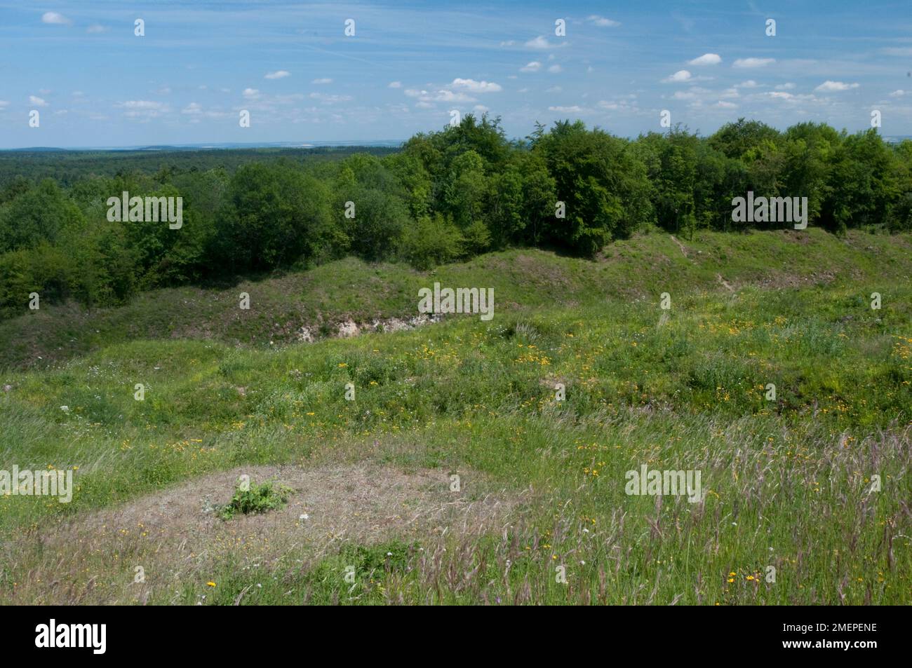 France, Lorraine, Meuse, Verdun, battlefields of World War I Stock ...