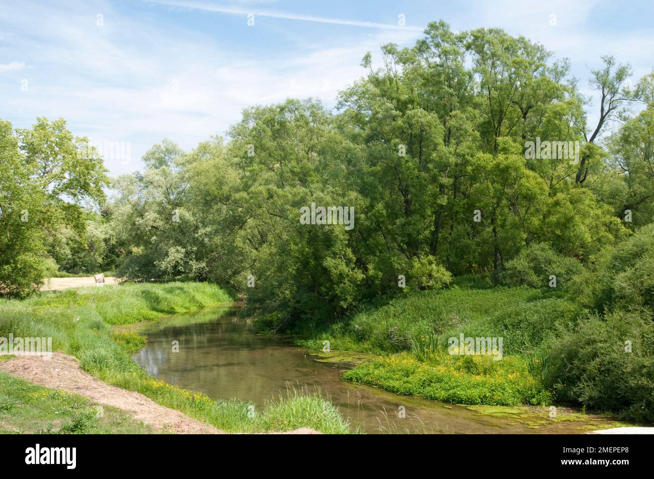 Lorraine countryside hi-res stock photography and images - Alamy