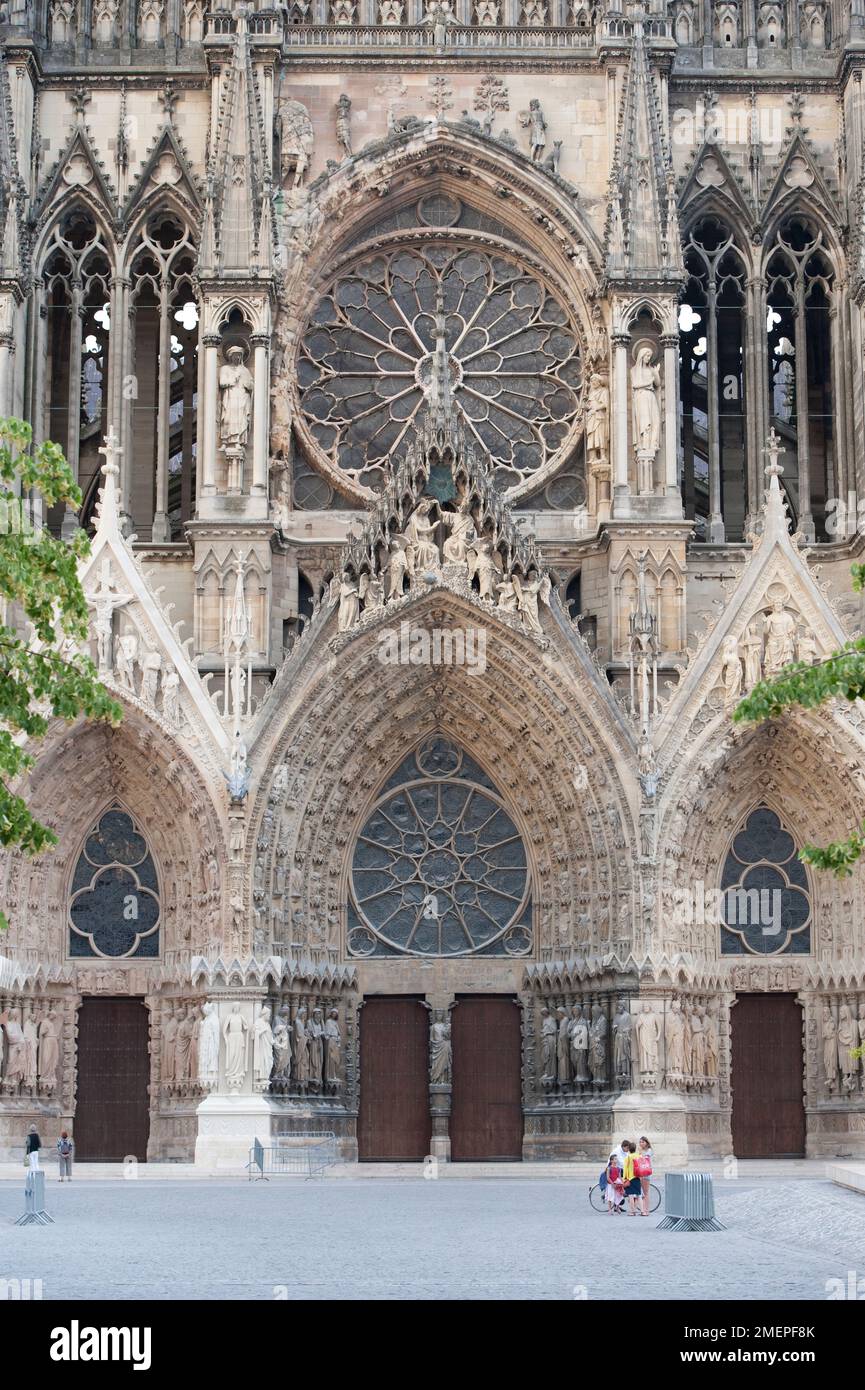 Rose de reims hi-res stock photography and images - Alamy