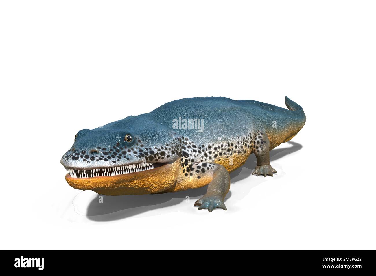 Prehistorical animals hi-res stock photography and images - Alamy