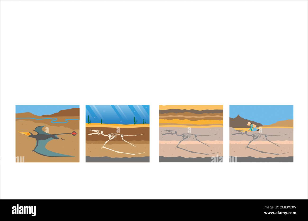 Fossilization drawing hi-res stock photography and images - Alamy