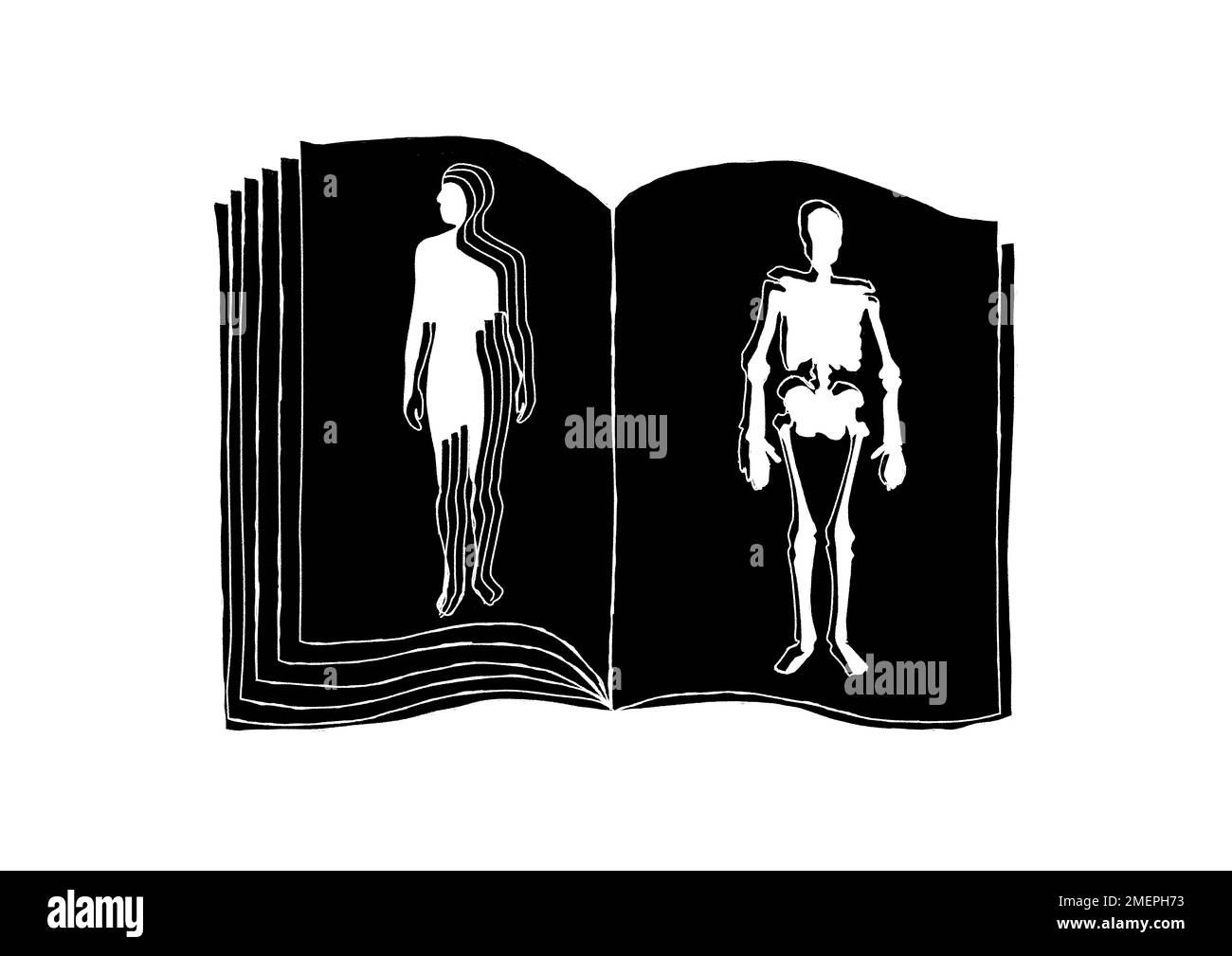 Hallow cut Cut Out Stock Images & Pictures - Alamy