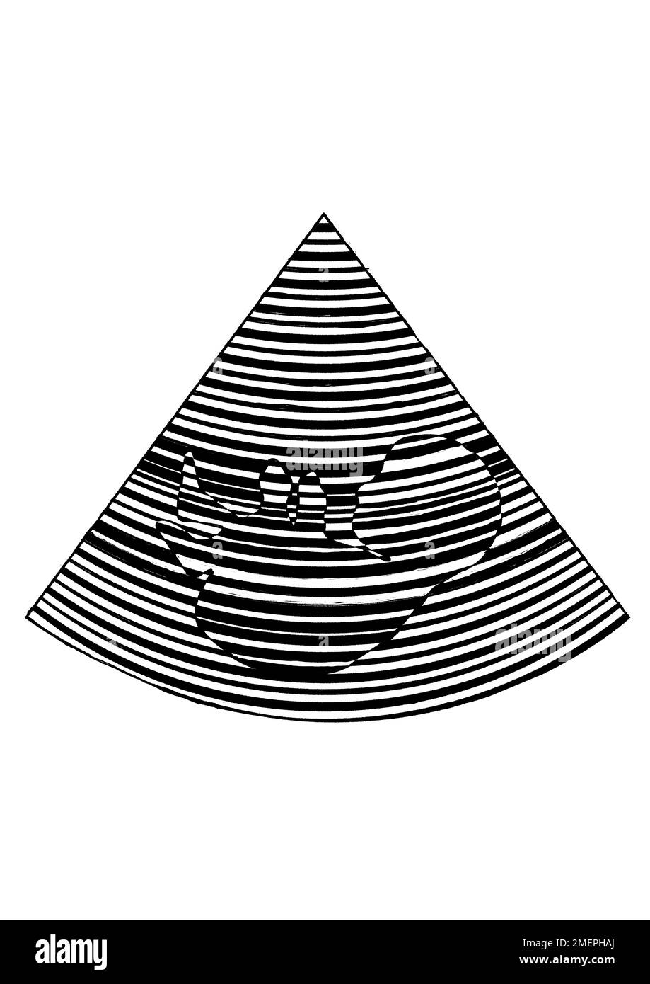 A foetus's shape formed in black and white lines within an ultrasound ...