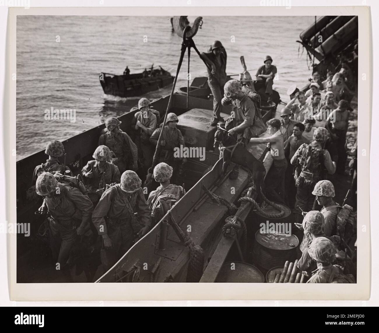 This photograph shows a Marine Corps company, known as the 'Devil Dogs ...